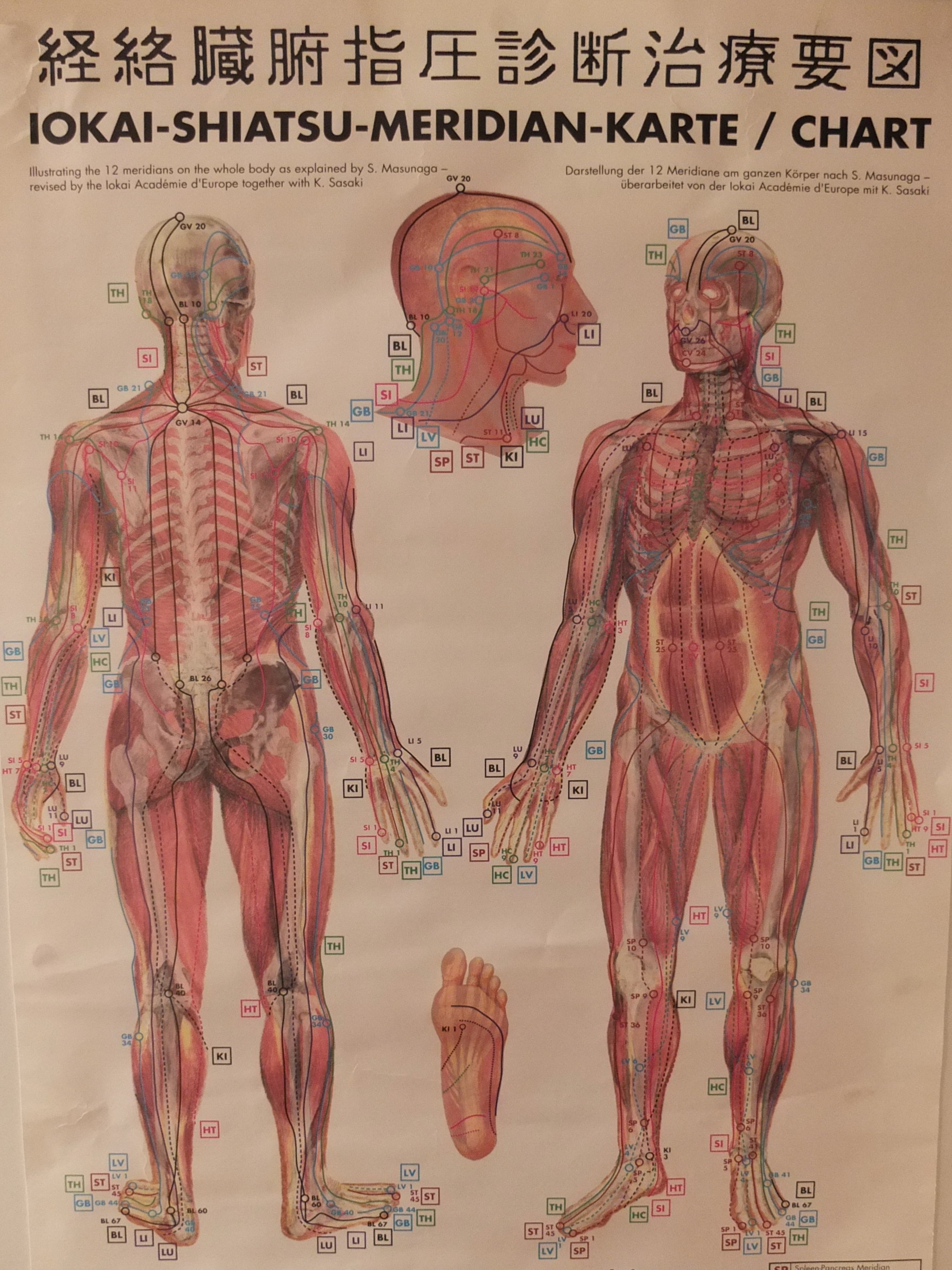 Qu’est-ce que le Shiatsu ? | Sensitive Shiatsu
